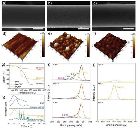 Construction Of Hierarchical Surface On Carbon Fiber Paper For Lithium Metal Batteries With