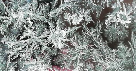 Frosty Album On Imgur
