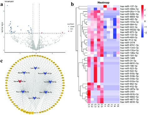 a volcanoplot of the differentially expressed micrornas log2fc ≥ 1