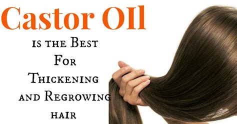 The Many Benefits Of Castor Oil