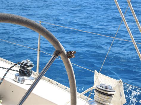 Photos Sailing Forums Page 1 Seabreeze
