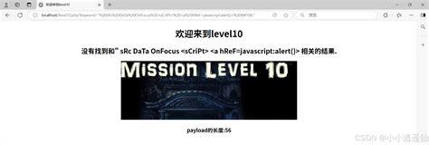xss漏洞总结 csdn博客