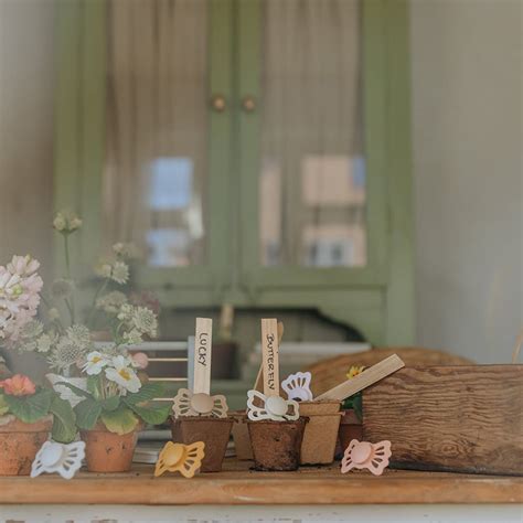 Frigg Butterfly Anatomical Silicone Pack Pacifiers Primrose Silver Gray Size