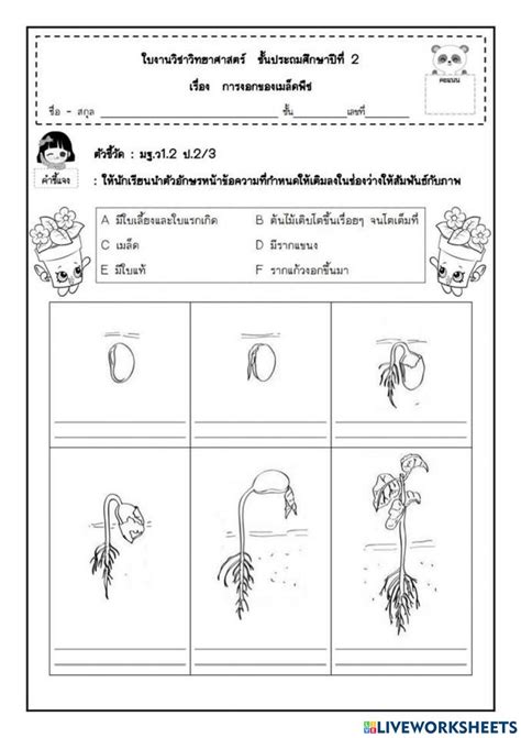 ปัจจัยในการงอกของเมล็ดพืช Worksheet Matter Worksheets Earths Layers