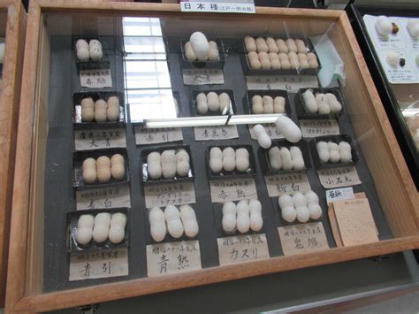 岡谷蚕糸博物館 大学教員からのMessage 楽天ブログ