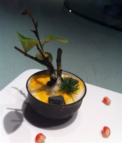 《中餐通讯》专业的餐饮媒体 菜好吃還要看顏值，餐廳菜品盤飾技巧你知道哪些？