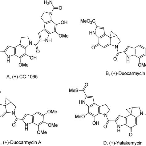 Natural Product Dna Alkylating Agents ²¹ Download Scientific Diagram