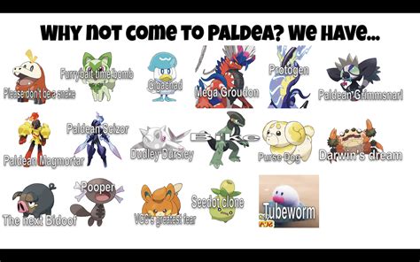 Paldea Meme Rpokemonmemes