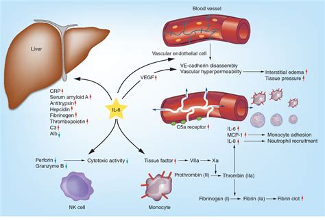Sepsis Semantic Scholar