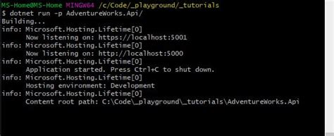 Setting Up A Net 5 Web Api Running It In Docker For Beginners