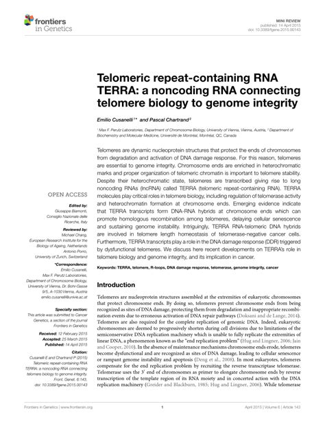PDF Telomeric Repeat Containing RNA TERRA A Noncoding RNA Connecting