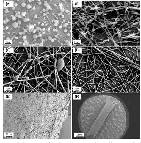 Figure 1 From Self Assembling Peptide Eak16 And Rada16 Nanofiber