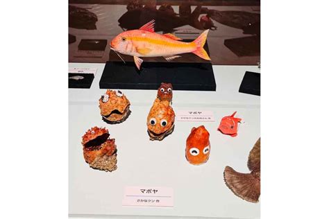 さかなクンnhk番組「ギョギョッとサカナ★スター」展覧会