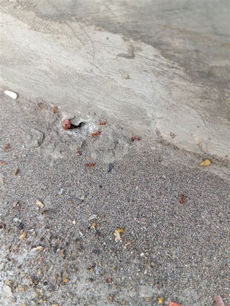 Stone Texture Material What Type Of Stone Stock Image Image Of Type Material 318767303