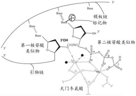 一种基因测序方法与流程