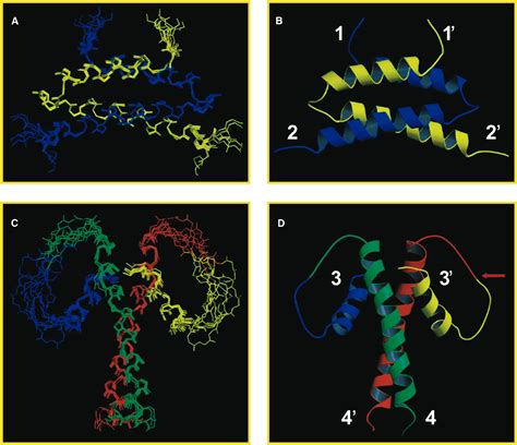The Structure Of Docking Domains In Modular Polyketide Synthases Chemistry And Biology