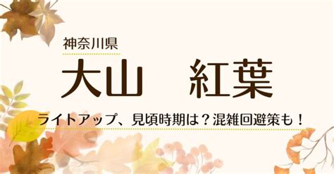 大山阿夫利神社の紅葉2024ライトアップや見頃時期は？混雑回避も調査！ ジャックと主婦の記