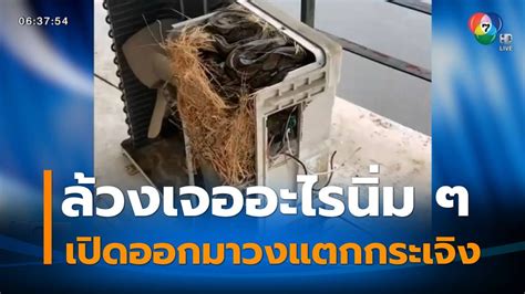 ข่าวภาพเป็นข่าว ล้วงเจออะไรนิ่ม ๆ เปิดออกมาวงแตกกระเจิง