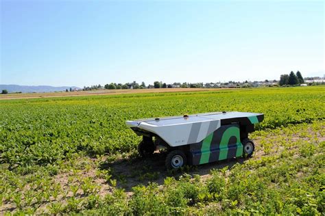 Smart Weeding 101 Everything You Need To Know Fnb Tech Fnb Tech