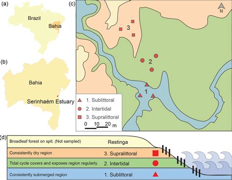 Map And Schematic Of Sediment Sampling Sites Here We Show The