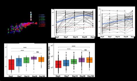 Antibody Level Kinetics And Correlation Of Anti Spike Igg And