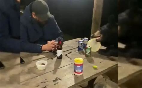 En Nuevo Le N Hombres Le Invitan Cerveza En Una Palapa De Una Caba A Telediario M Xico