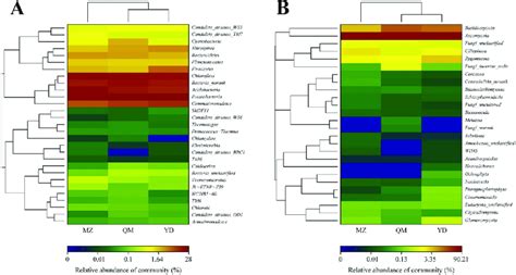 Heat Map Of Soil Bacterial A And Fungal B Communities Of Three