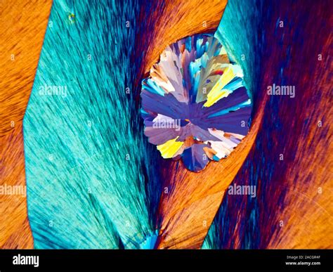 Paracetamol Polarised Light Micrograph Of Paracetamol Acetaminophen