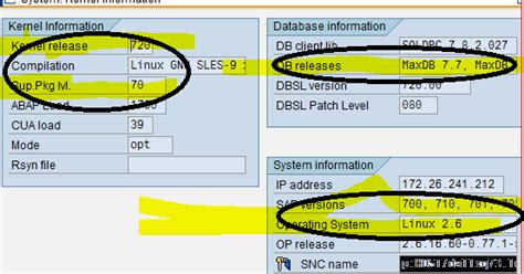 Sap Basis Technical Sap Kernal Upgrade On Linux Step By Step