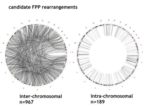 Ppt A Strategy For Dna Sequence Analysis Of Genome Rearrangements
