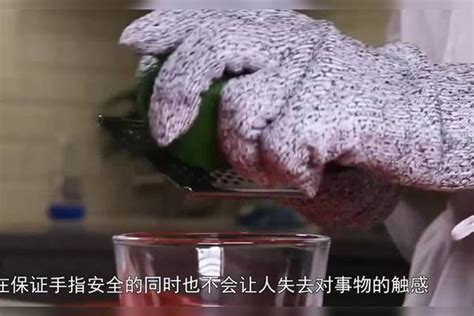 盘点世界上最奇葩的4个发明！刀枪不入的手套你见过吗？
