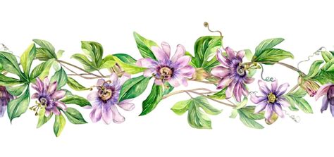 Premium Photo Seamless Border Of Passion Flower Plant Watercolor