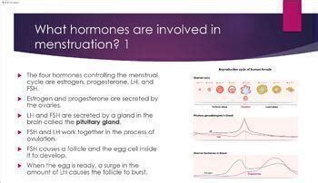 Igcse Biology Chapter Reproduction In Humans By Lloydhelpme