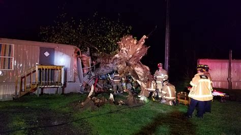 Tree Falls On Man Inside Mobile Home Alive Com