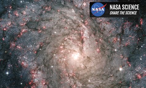 Iceye Us Receives 1st Nasa Commercial Smallsat Data Acquisition Program