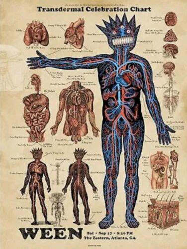 Ween Poster Atlanta 2022 Night 2 Emek 9 17 September The Eastern 4563744767