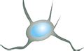 Get An Overview Of Cell Markers CUSABIO