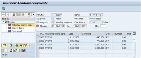 An SAP Consultant HR ABAP Time Constraints In Infotypes