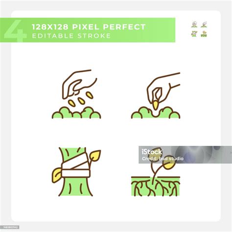 성장하는 식물 녹색 Rgb 색상 아이콘 세트 0명에 대한 스톡 벡터 아트 및 기타 이미지 0명 개념 개발 Istock