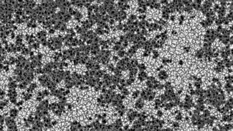 Surface Composition Analysis Cic Nanogune