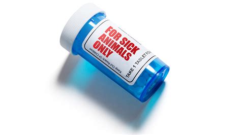 What You Need To Know About Antibiotics In Livestock Grist