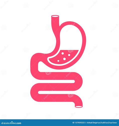 Human Stomach And Gastrointestinal System Icon Stock Vector