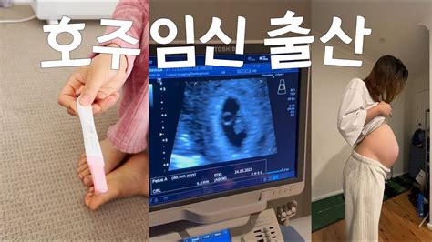호주시골에서 임신부터 출산때까지 일어나는 일 10개월 풀버전 Youtube