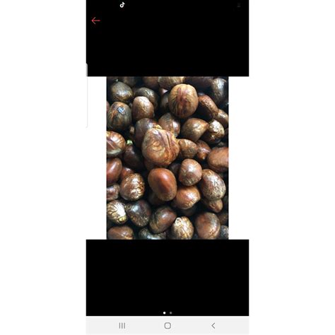 Jual Beton Klewih 1 Kilo Shopee Indonesia