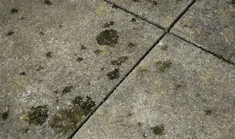 How To Remove Black Spots From Patio Using Effective Household Item