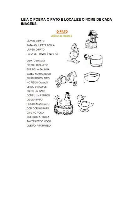 Sequência Didática a música O pato pateta de Vinícius de Moraes