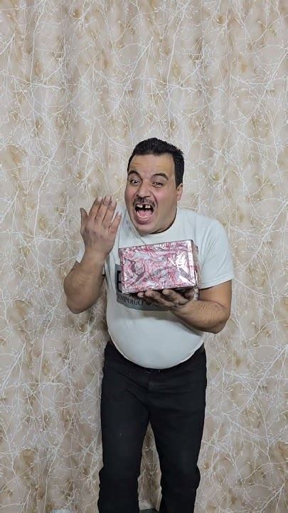 سنجاب سنجاب هديه السنجاب الصغير سنجاب كيوت سنجاب لطيف Squirrw Youtube