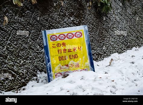 Dead Japanese Hi Res Stock Photography And Images Alamy