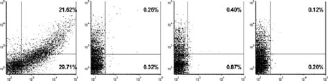Expression Of TCR Like Chimeric Receptor On Transduced Jurkat Cells