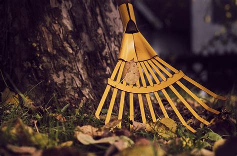 Oak Hill Gardens Gardening Tips And Tricks Product Reviews And